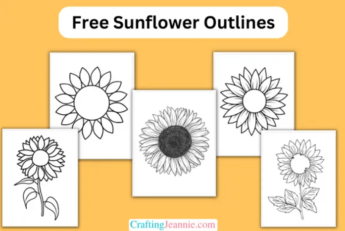 Sunflower Outline - Free PDF - Crafting Jeannie