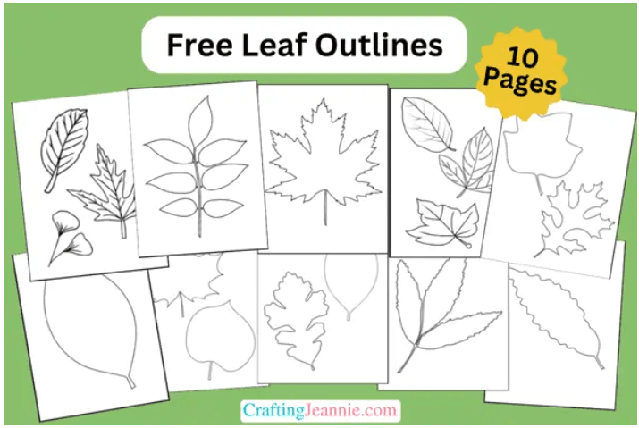 Free Leaf Outline - PDF - Crafting Jeannie