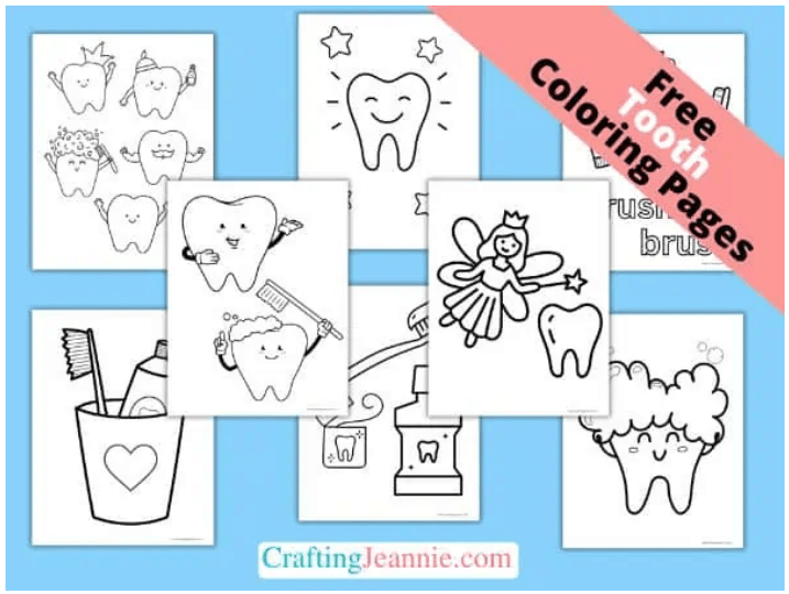 20+ Tooth Coloring Pages (Free PDF)