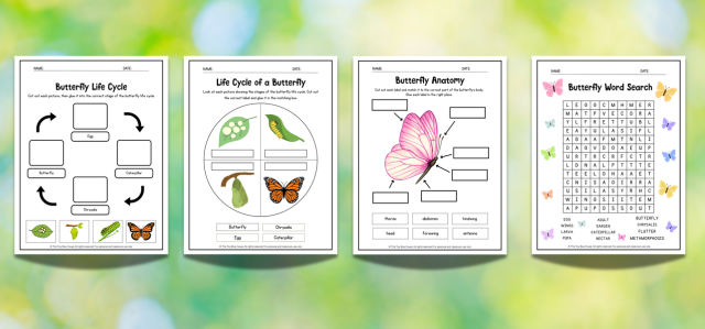 Butterfly Life Cycle Worksheets (Free Printable Bundle for Kids) - This ...