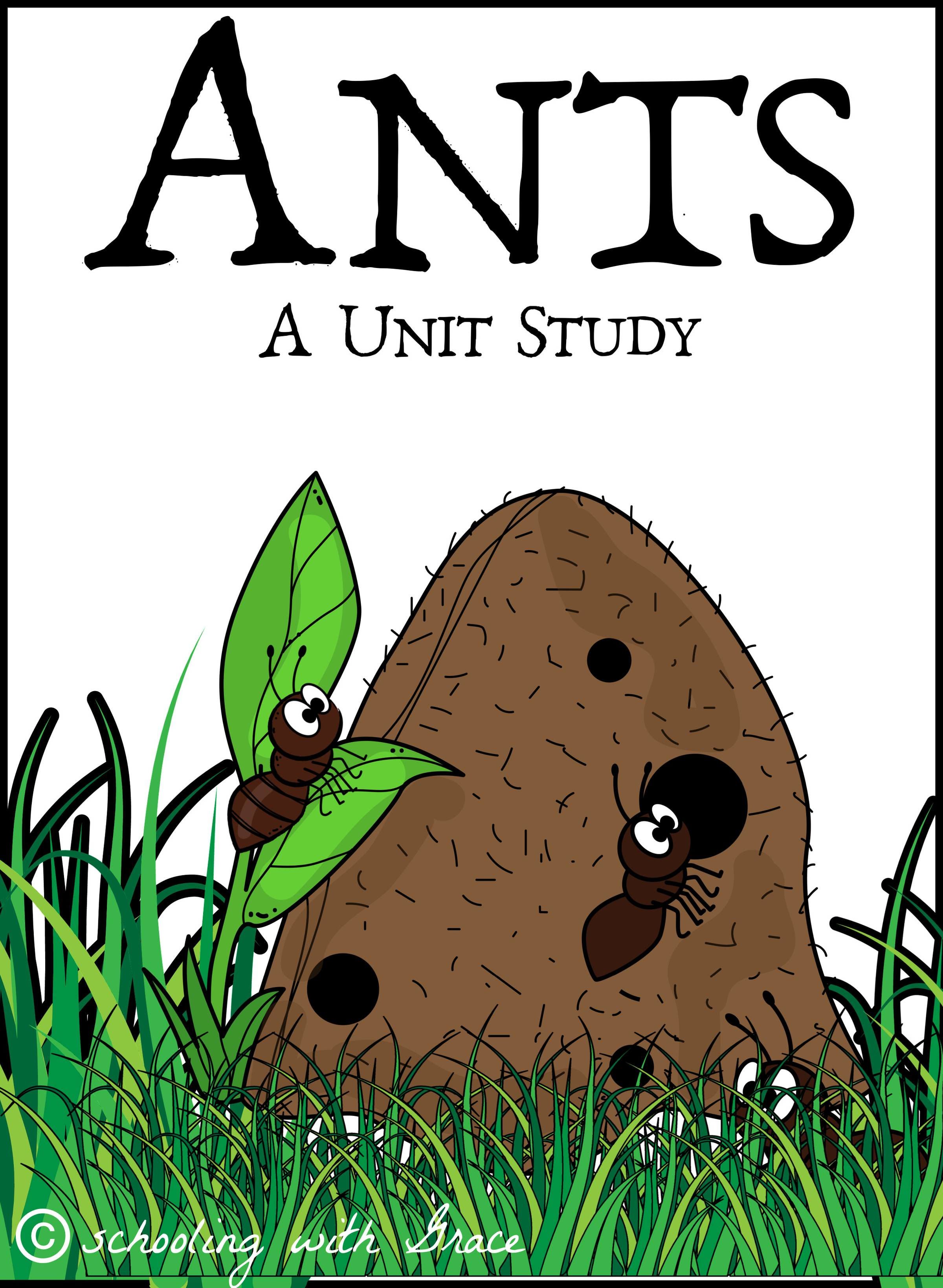 Ant mini unit study